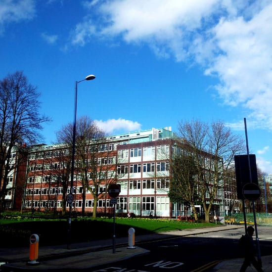 Establishing Postsecondary Transition Programs for Students with ...